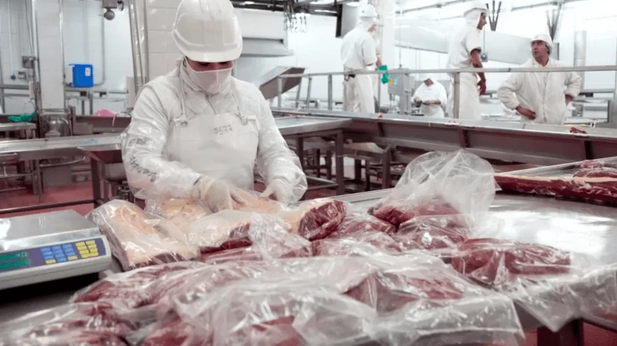 El Ipcva Es Responsable Del Consumo Excesivo De Carne En La Sociedad
