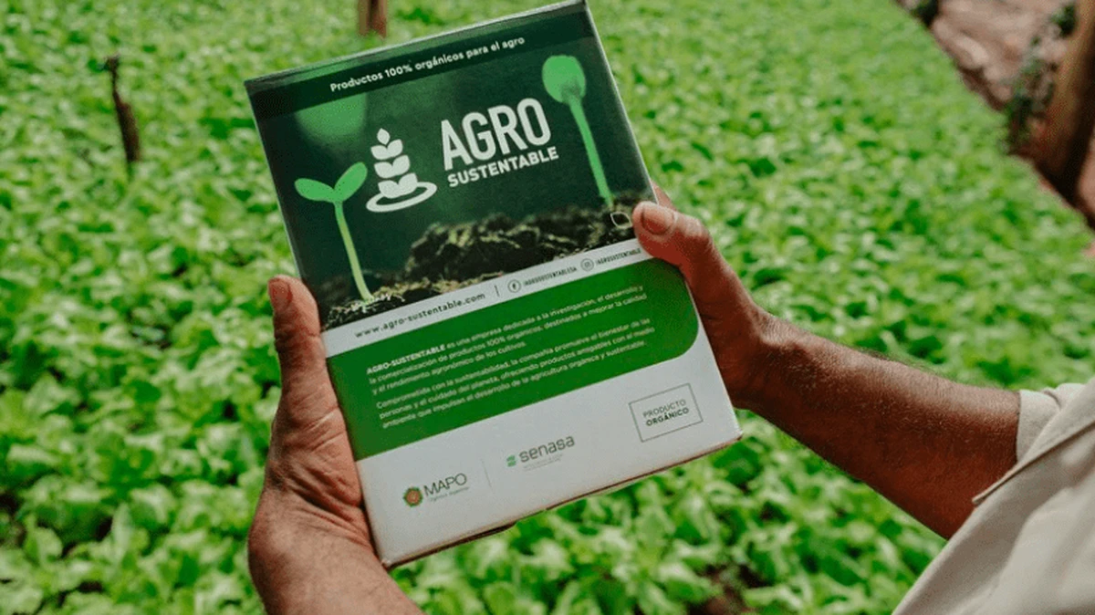 Agro Sustentable, la startup de alimentos agroecológicos que es furor