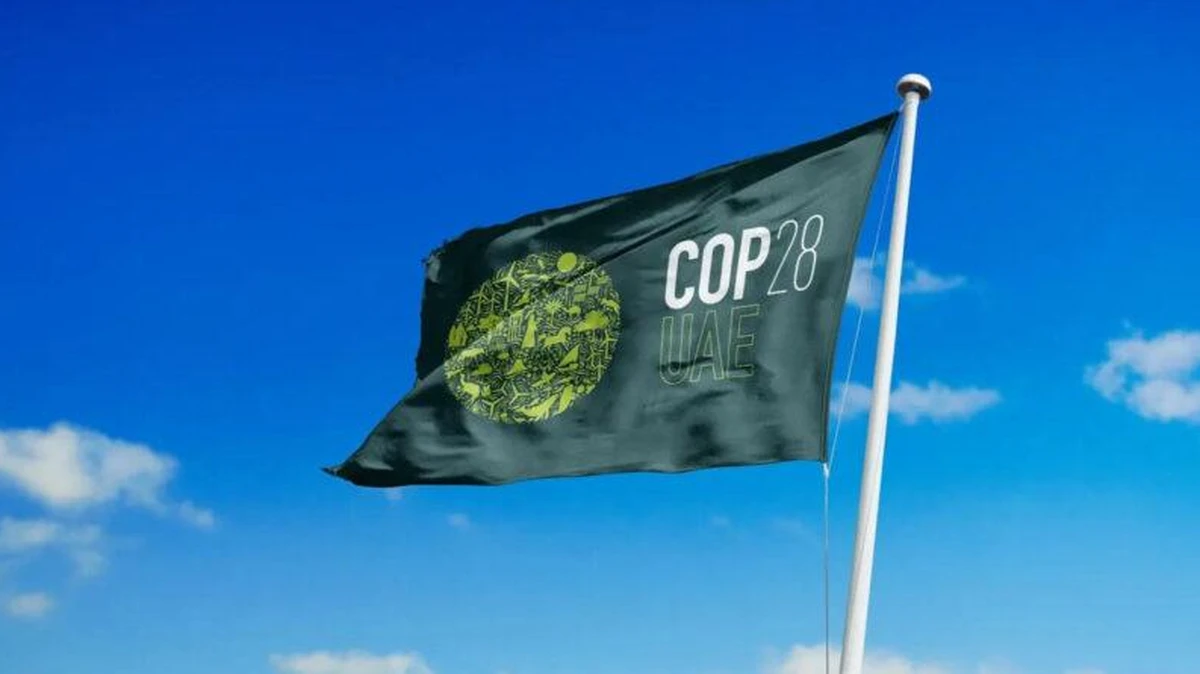 COP28: una potencia ayudará con u$s 53 millones a 23 ciudades para la ...