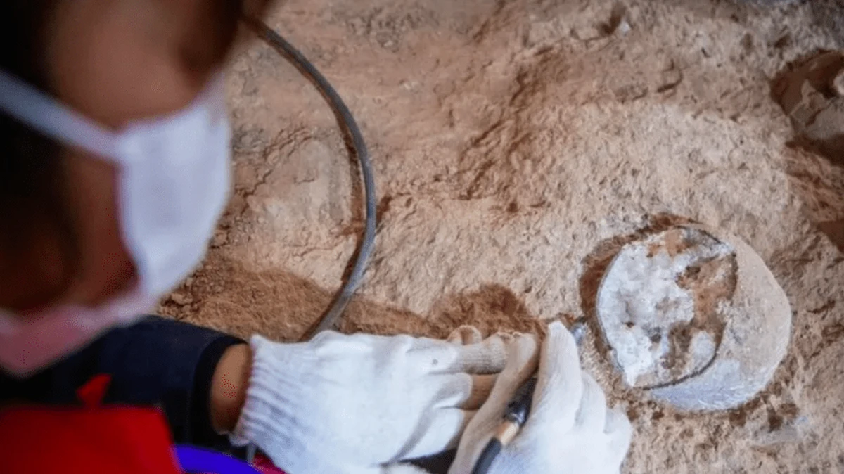 Hallaron vestigios humanos de hace 55 mil años en China
