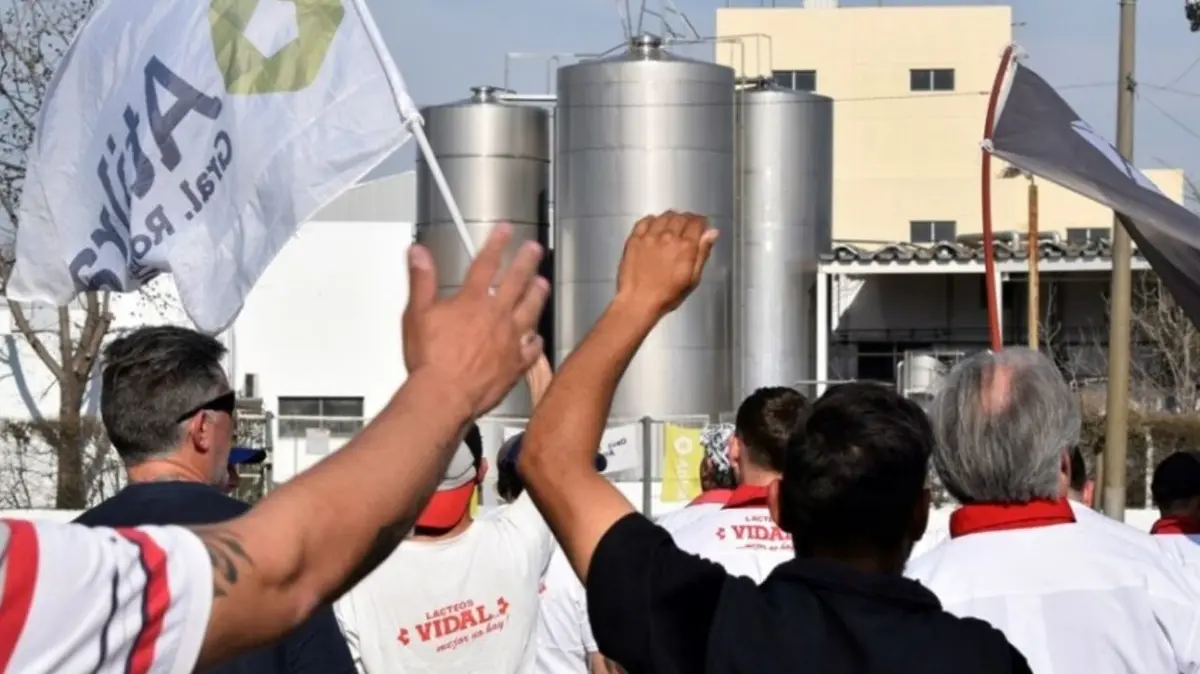 lacteos vidal
