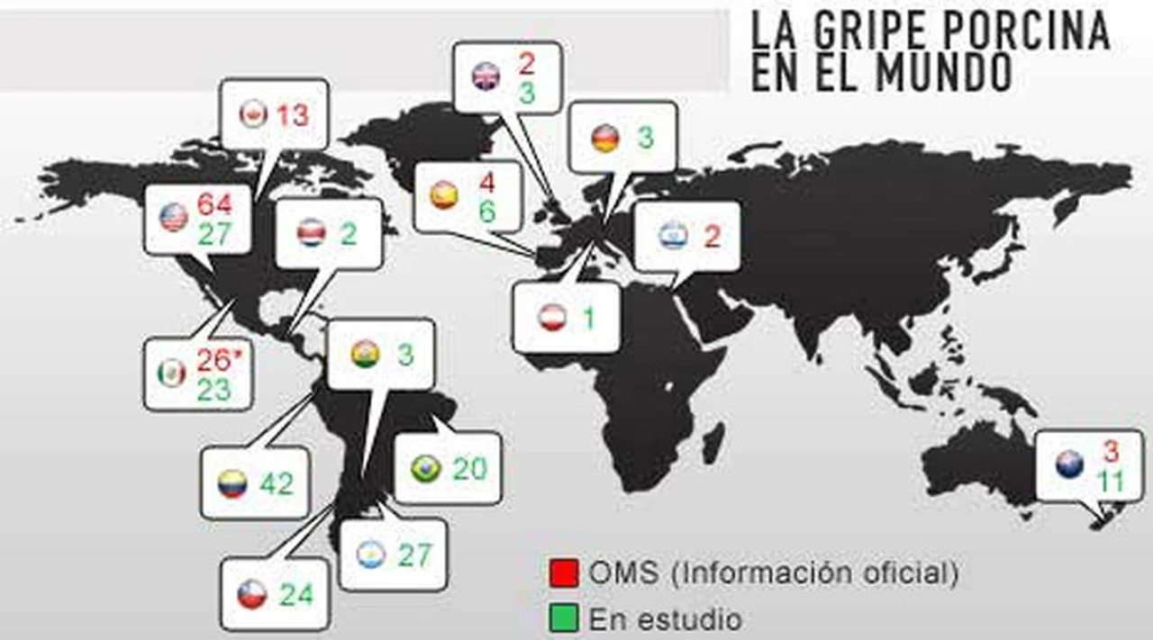 La OMS elevó a 5 el nivel de alerta de la epidemia de gripe porcina