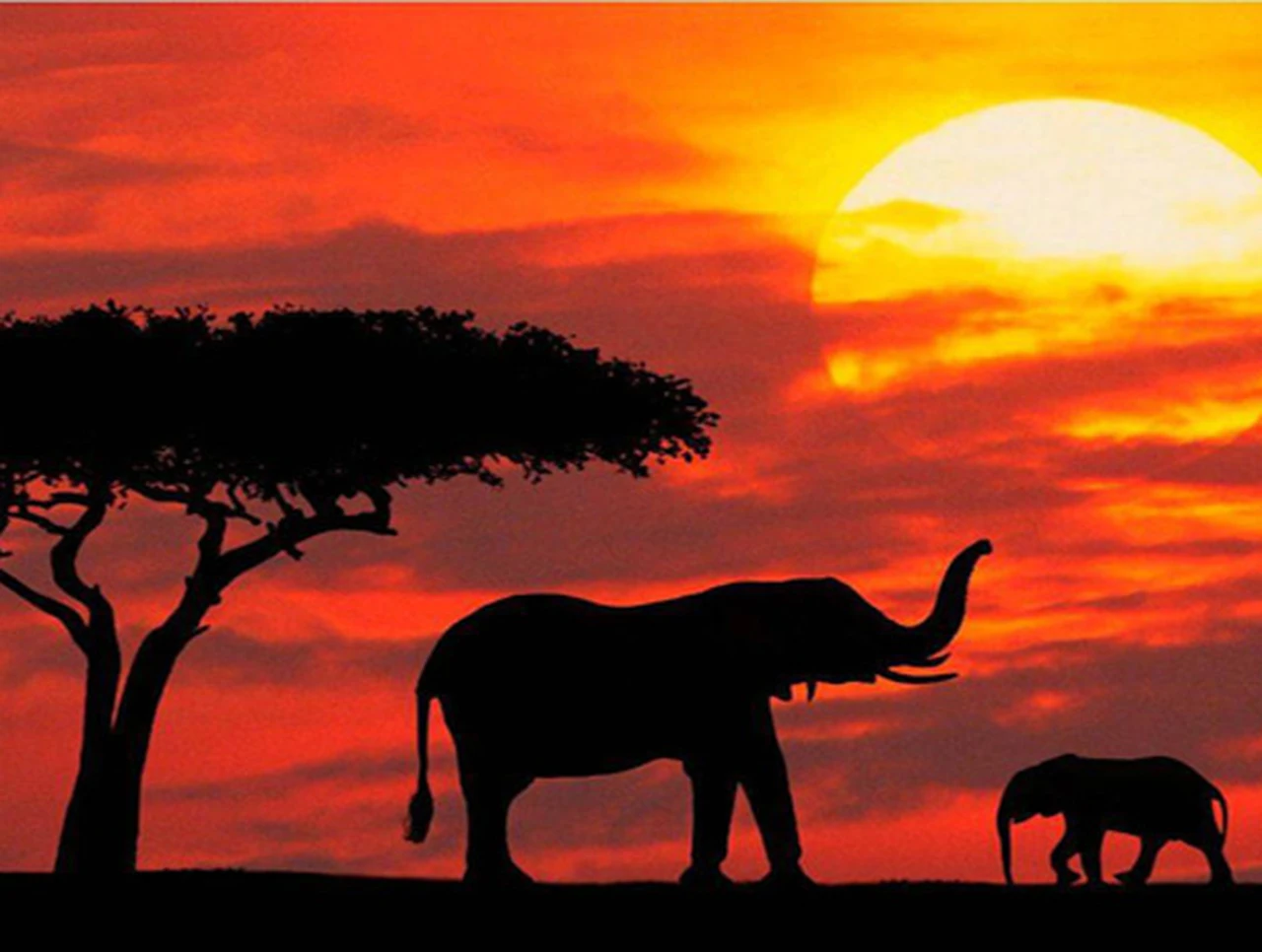 Triland: sin fronteras, paradisí­aco... e inventado por argentinos