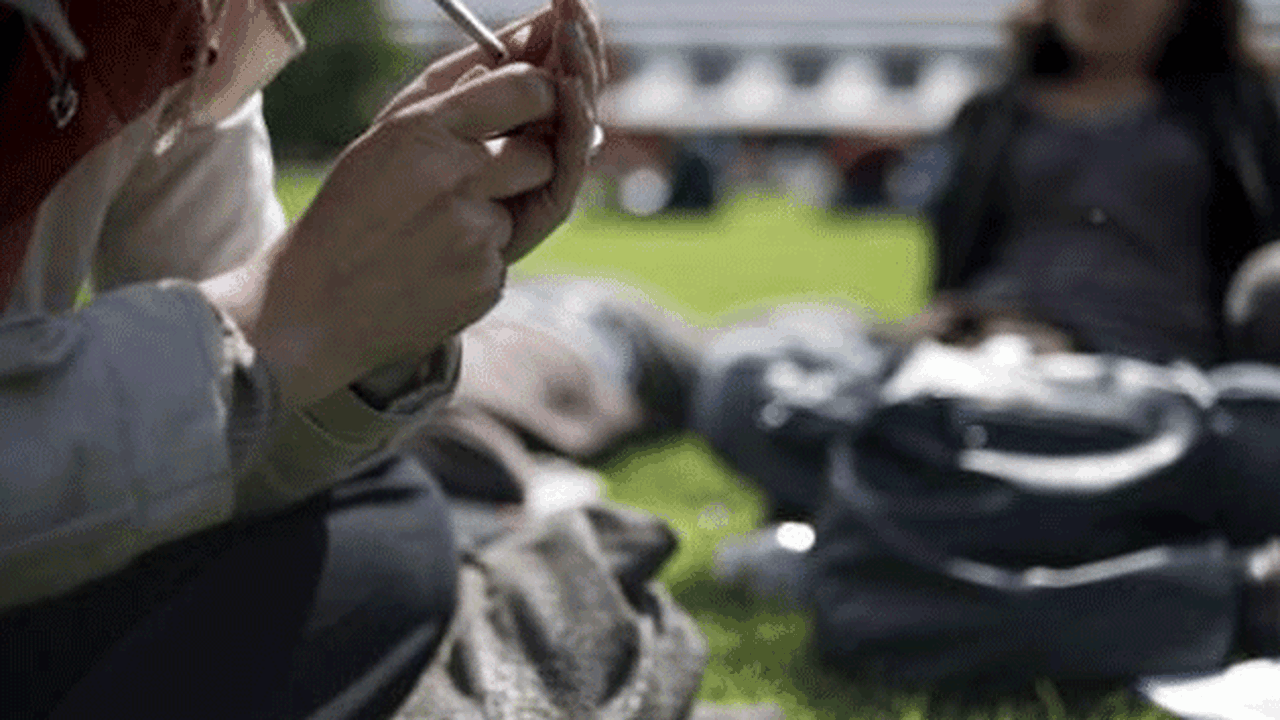 Tras Su Legalización Ya Dan Clases De Cultivo De Cannabis En Uruguay