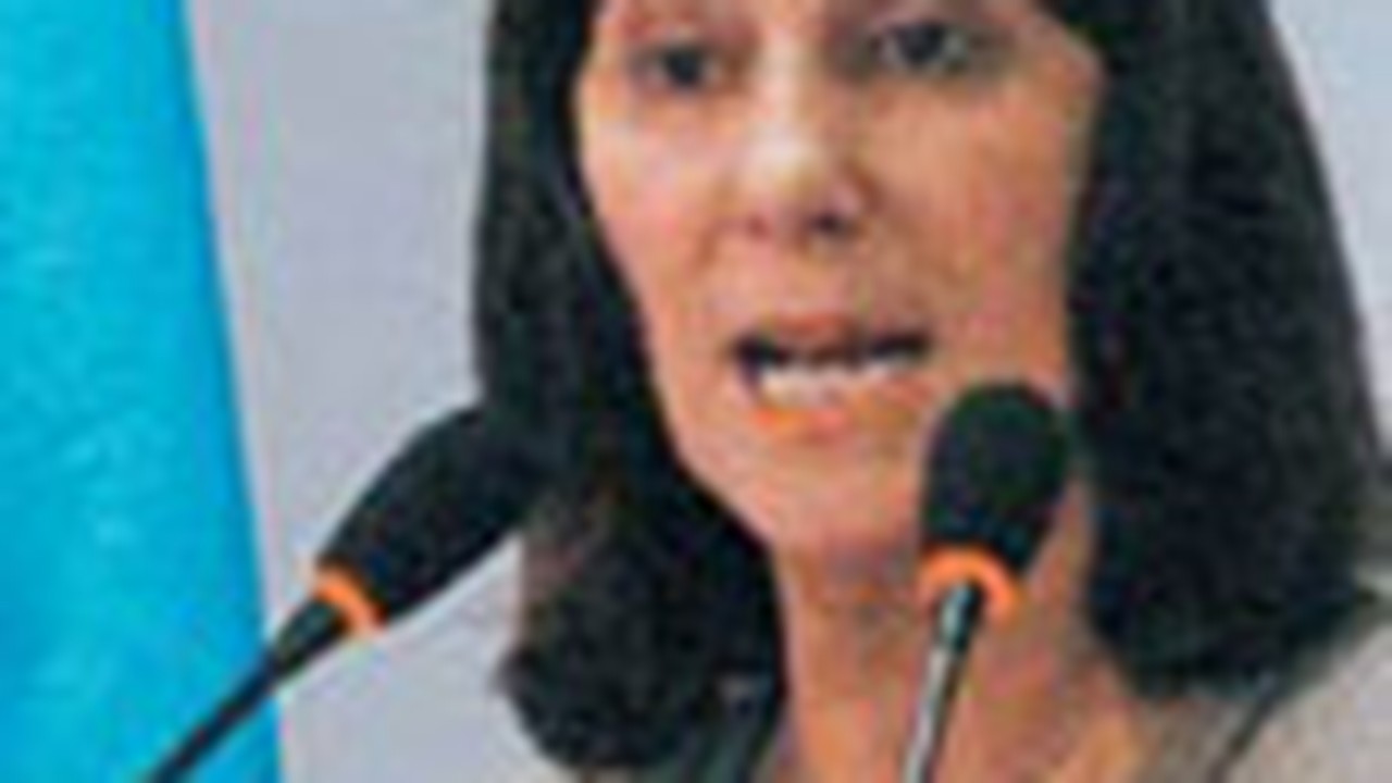 Miceli apuesta a la sustentabilidad fiscal y económica por diez años