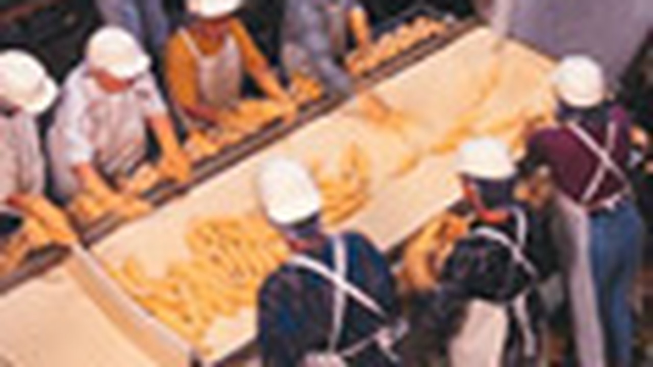 Massalin Particulares lanzó el programa Somos Capaces