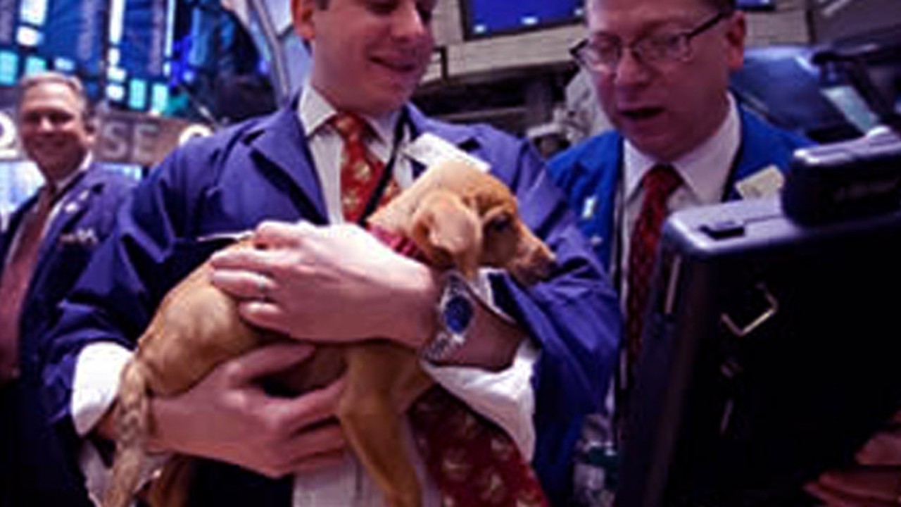 Aquí­ están, estos son los 10 "perros" que triunfaron en el Dow Jones