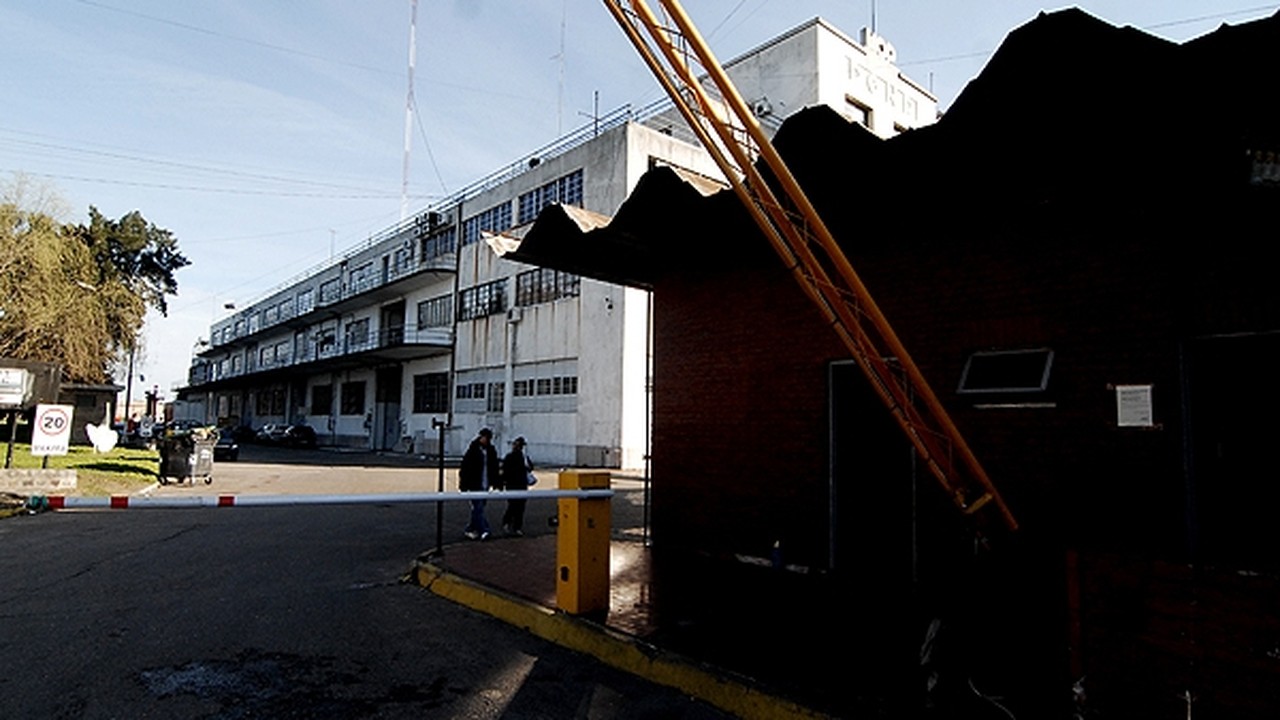 Isla Demarchi: ni la torre más alta de Latinoamérica ni el "Hollywood ...