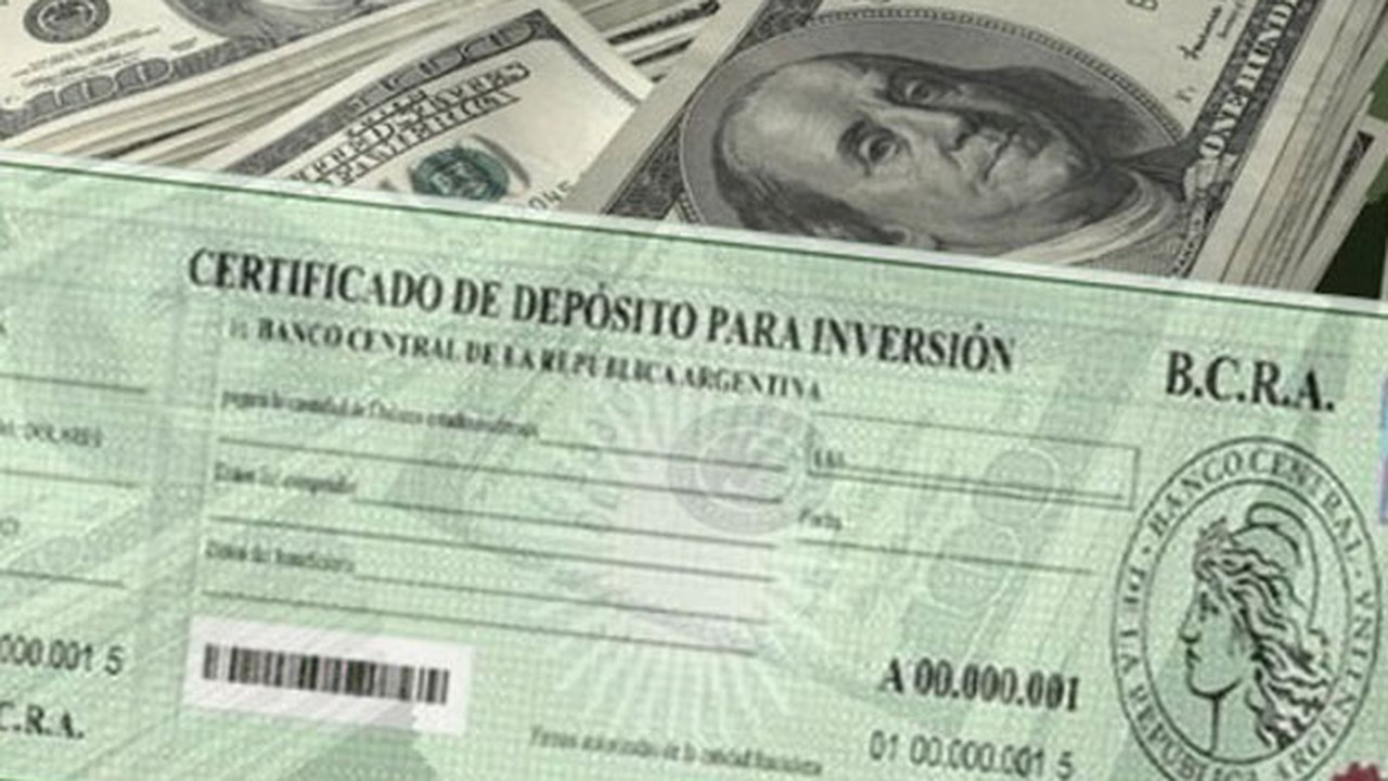 ¿Qué se debe tener en cuenta para diferenciar un Cedin auténtico de uno ...