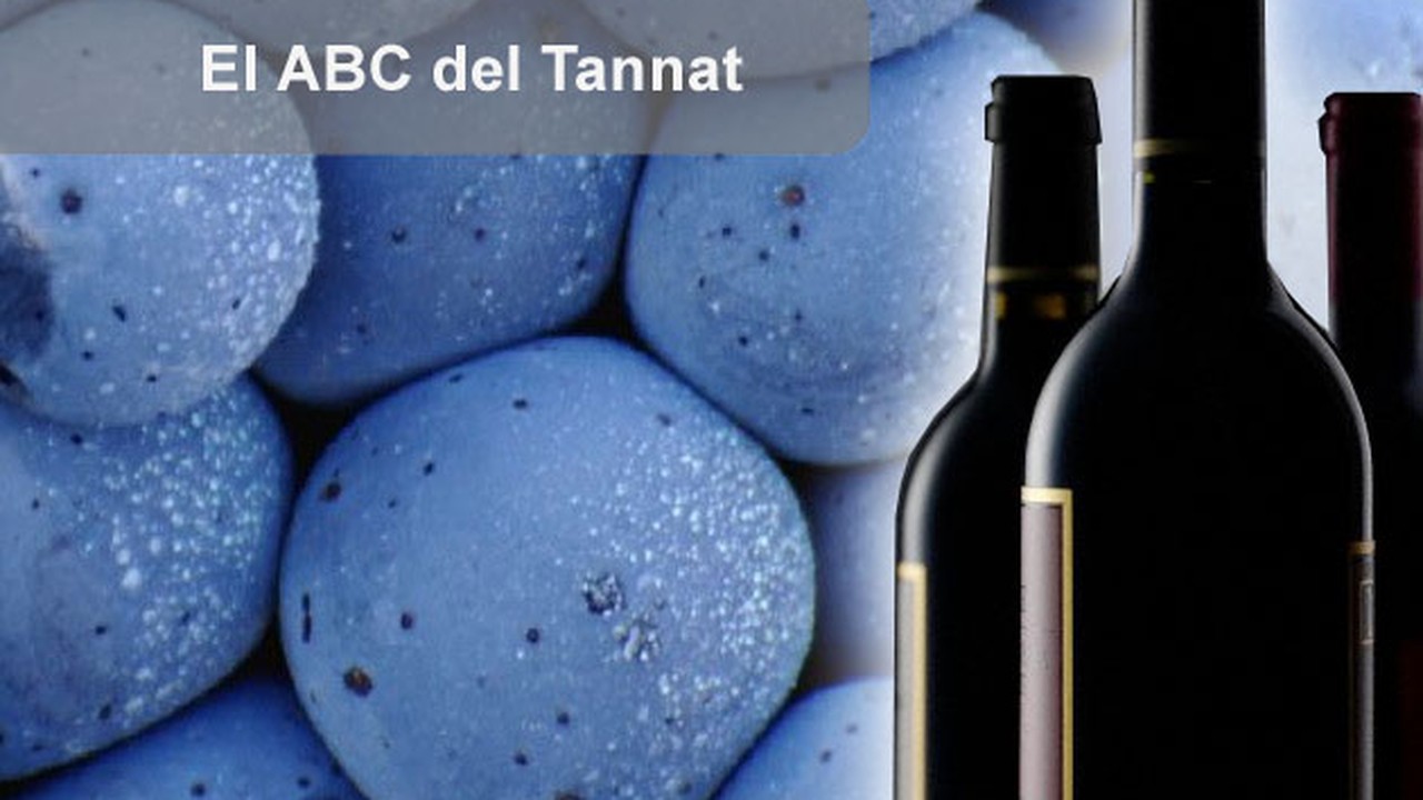 El ABC del Tannat: 10 claves para conocer mejor las cualidades de esta ...