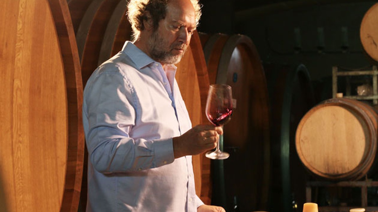 El ABC del Malbec, según el enólogo Daniel Pi: 10 razones por las ...