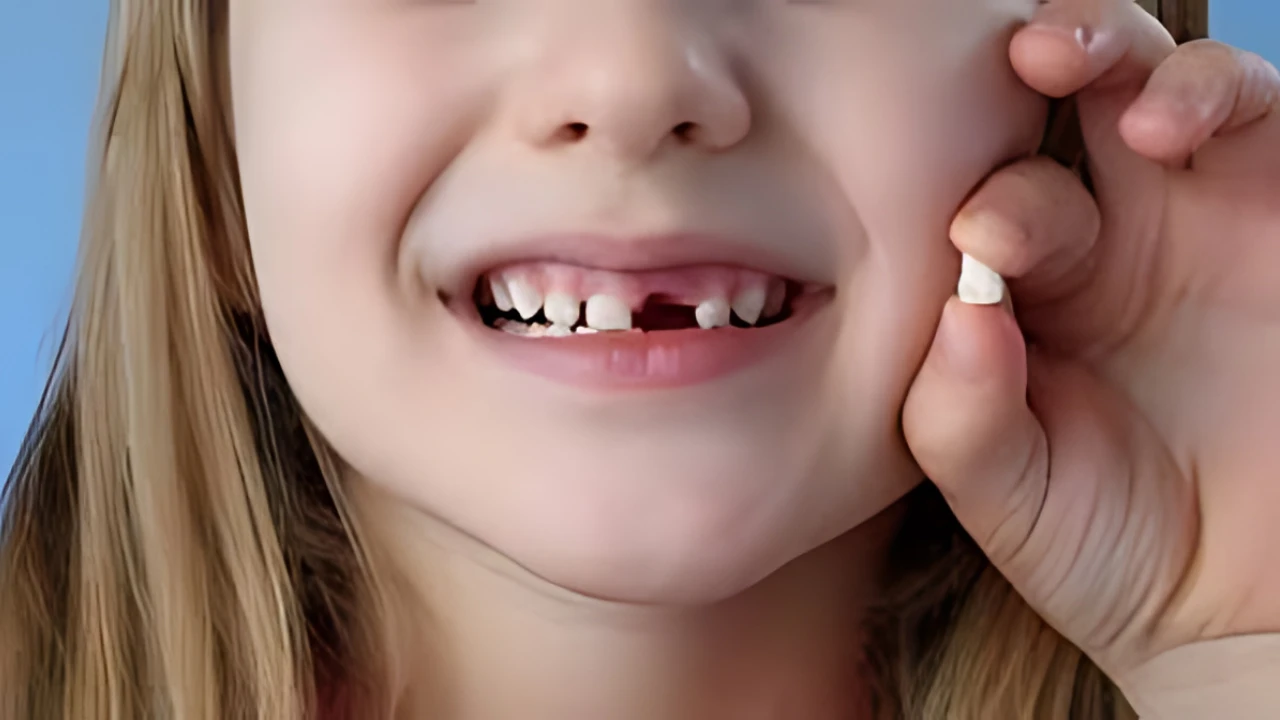 El Ratón Pérez ahora reparte ACCIONES: tiene 6 años y contó cuáles le ...