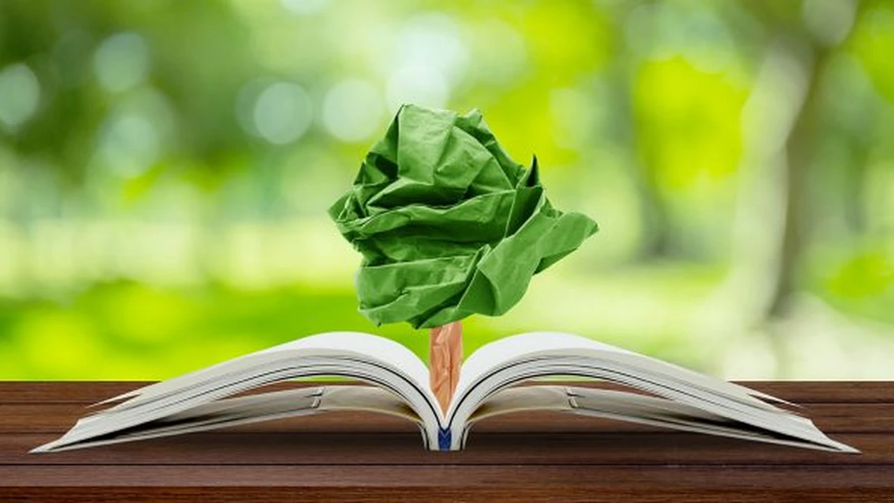 Opinión La Importancia De La Educación Ambiental Y Los Tópicos