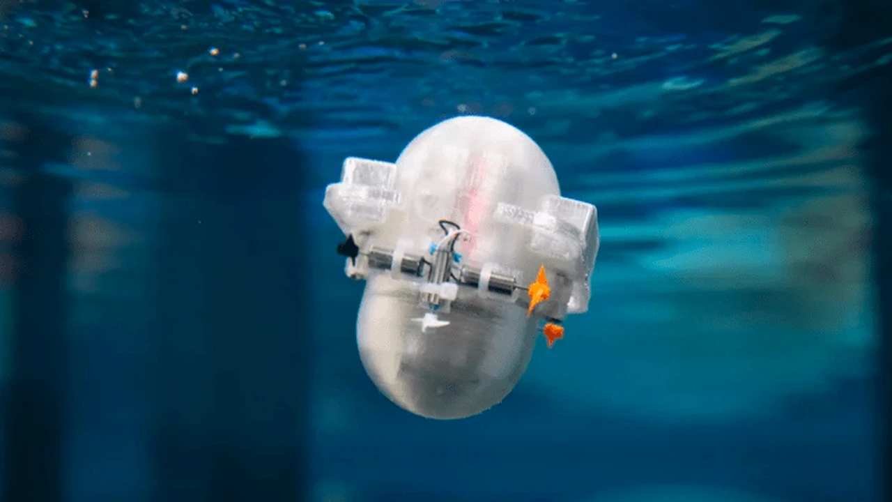 CARL-Bot, el robot que navegará los océanos para descubrir nuevas ...