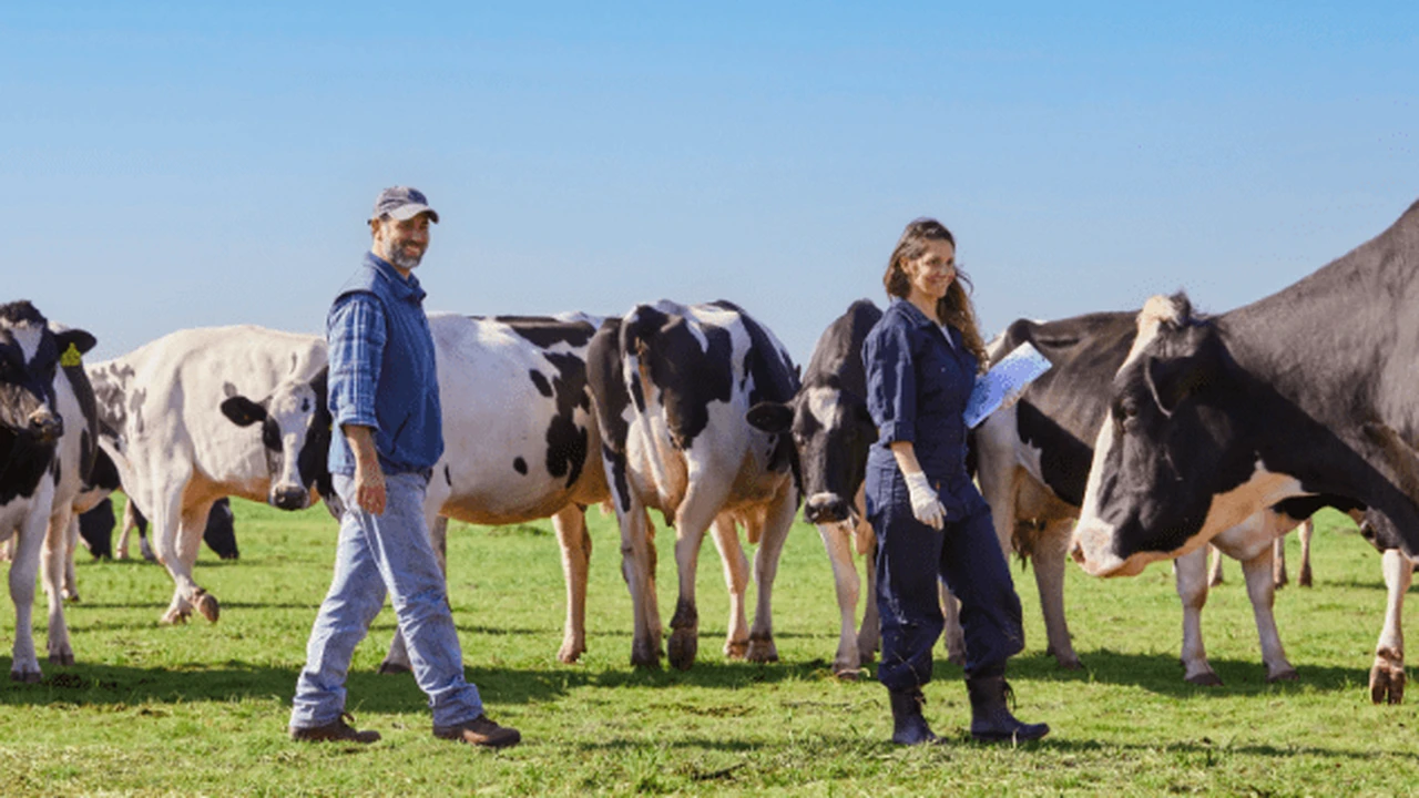 Mastellone Hnos. obtuvo la certificación de la norma ISO 14.001