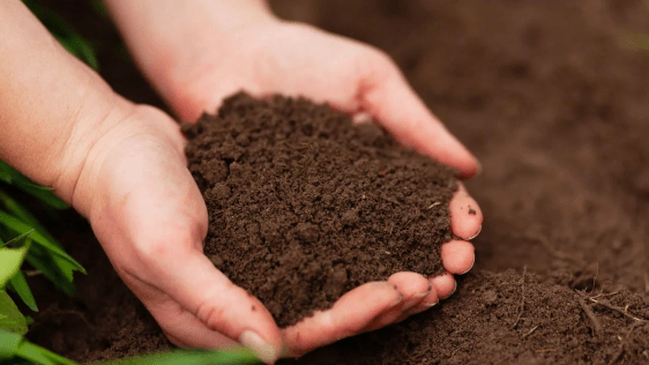 Qué es el Compost bocashi y diferencias con el compost tradicional