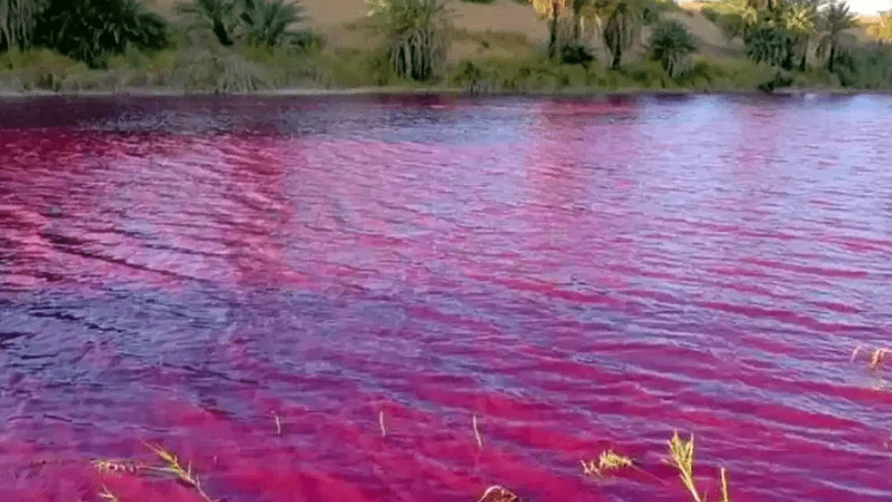 Impactantes imágenes: Por qué el río Nilo se tiñó de rojo y asombró a ...