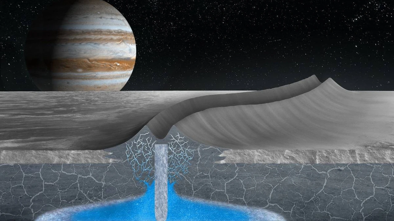Cuál es la importancia del agua y el hielo en la búsqueda de vida en ...