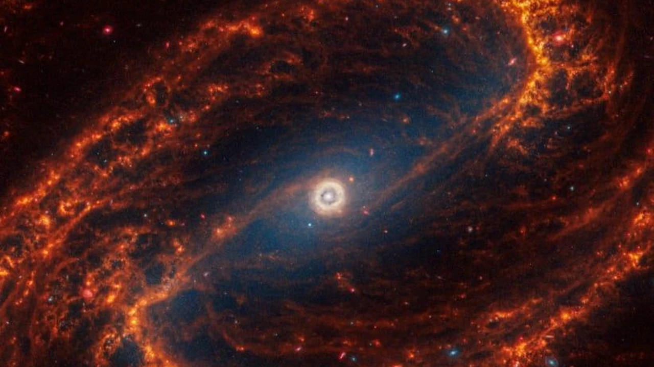 El telescopio James Webb de la NASA lo hizo de nuevo: qué encontró en ...