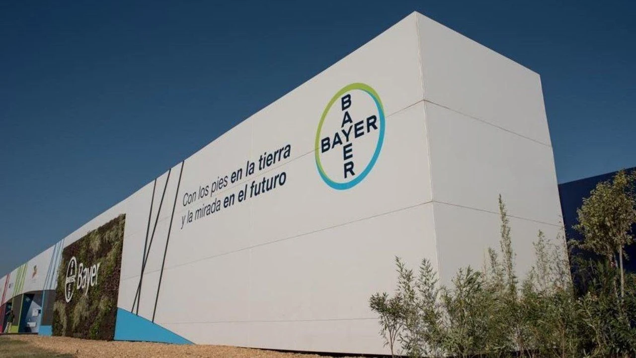 Bayer impulsa la agricultura regenerativa en Argentina y Uruguay con ...