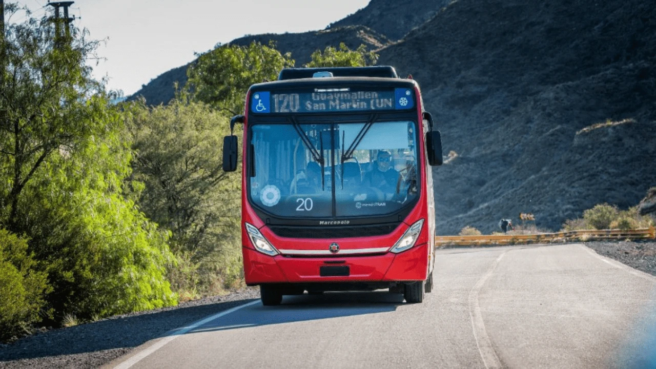 Por qué el transporte público es sustentable: claves para una movilidad ...
