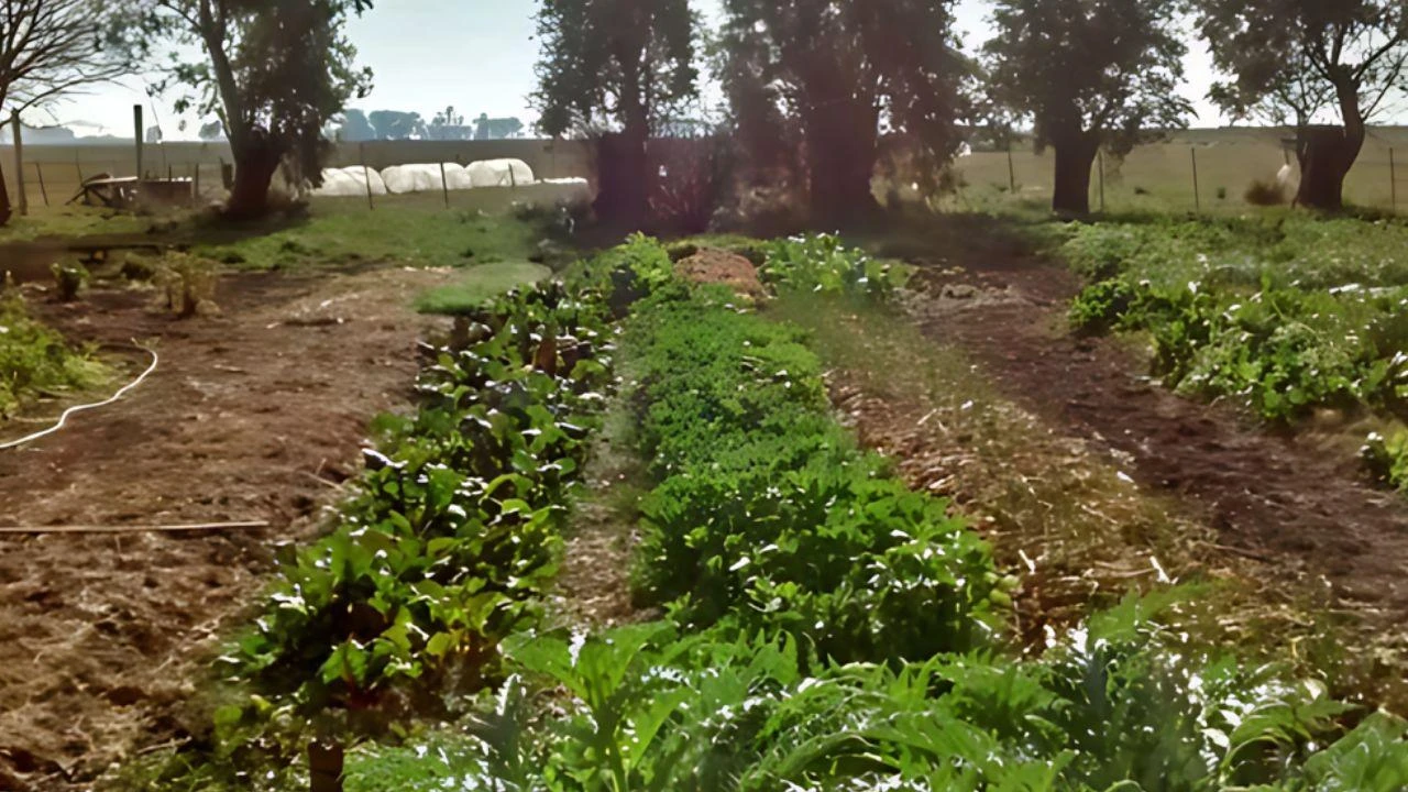 Los dueños de una chacra deberán remediar un pasivo ambiental