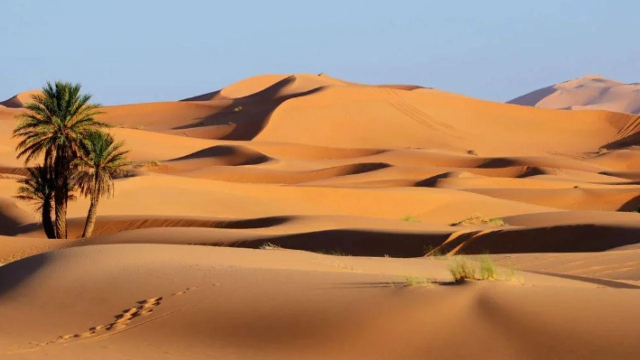 El desierto de Sahara cambió de color y tiene una explicación