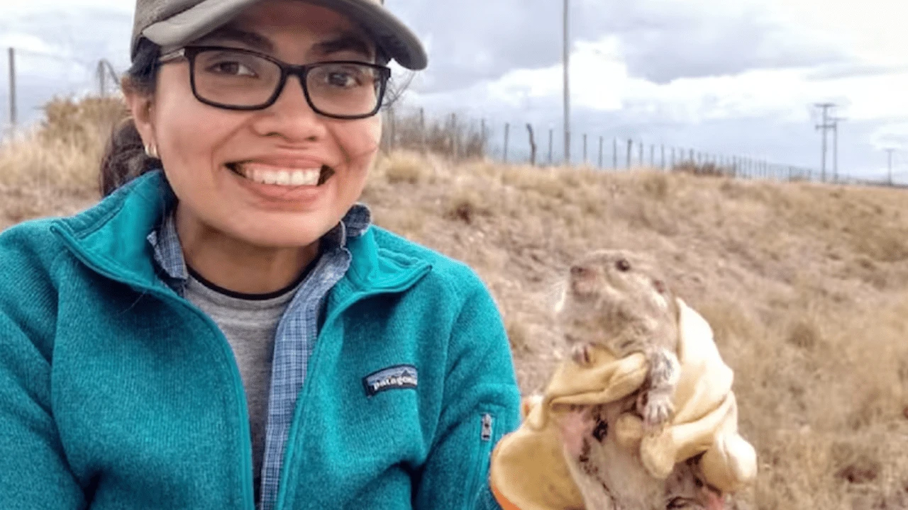 Mendoza: descubren una especie única de roedor en el mundo
