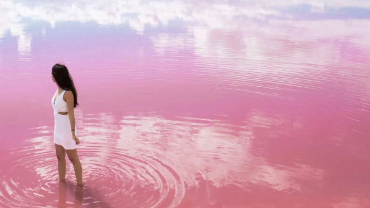 El lago rosa más espectacular del mundo: por qué el agua tiene ese color