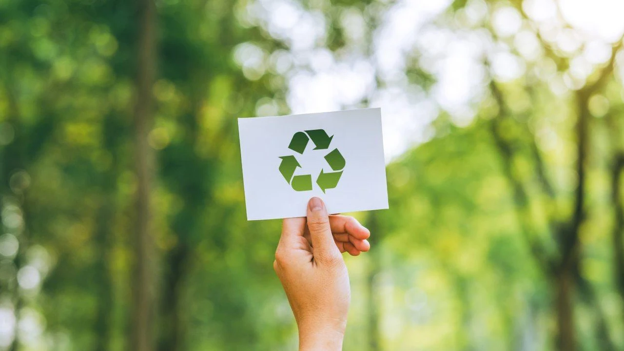 Estas son las empresas más sostenibles del mundo en 2025, según TIME y Statista