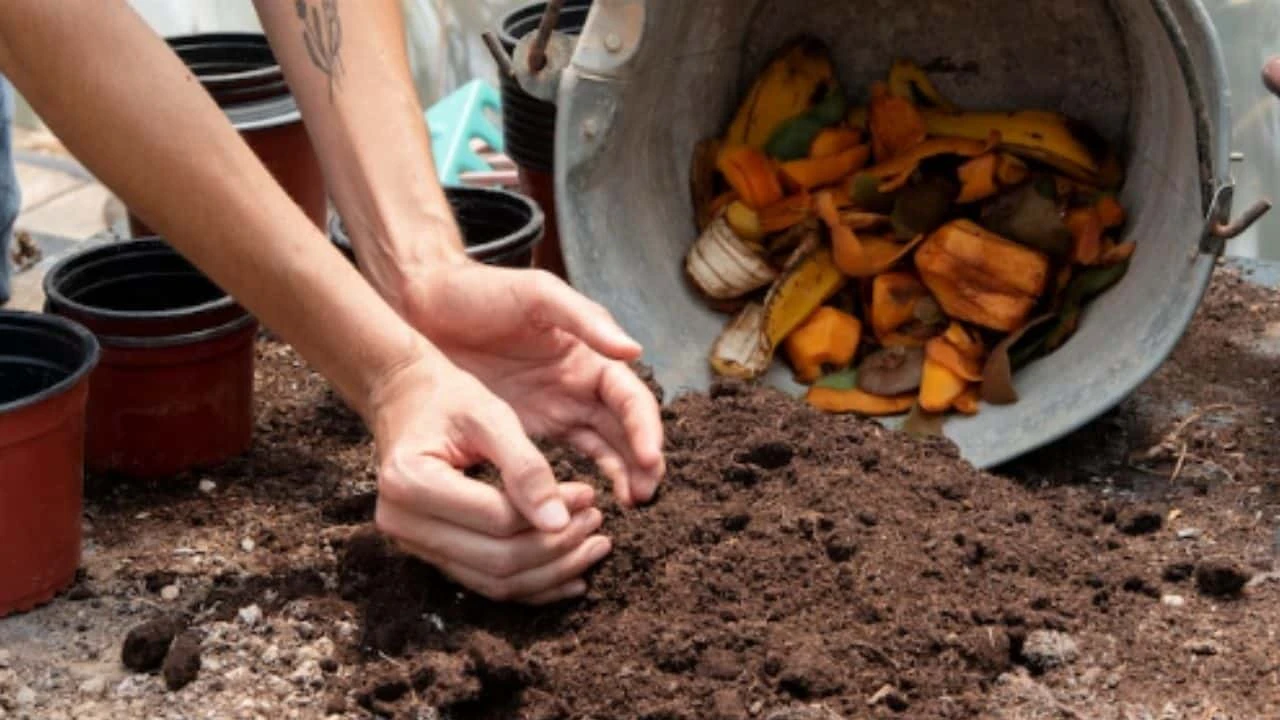 Cómo hacer compost en un espacio reducido y utilizarlo como abono natural