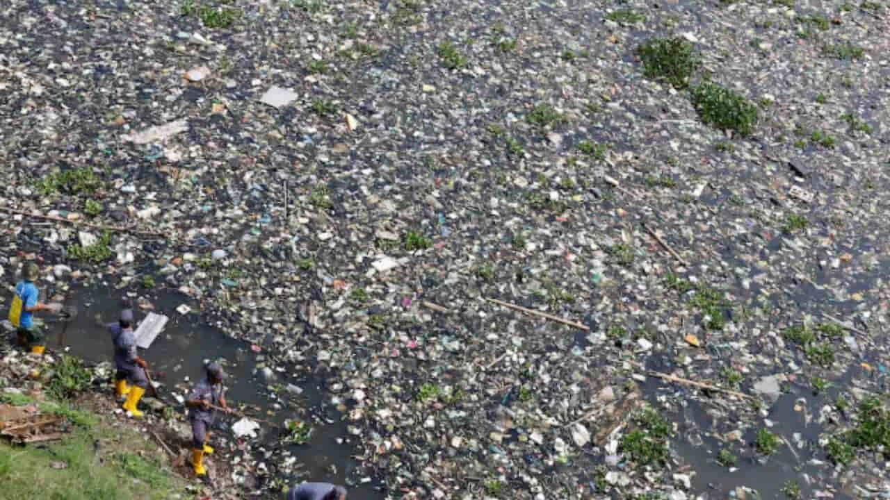 Un nuevo estudio advierte sobre la contaminación de plásticos en ríos