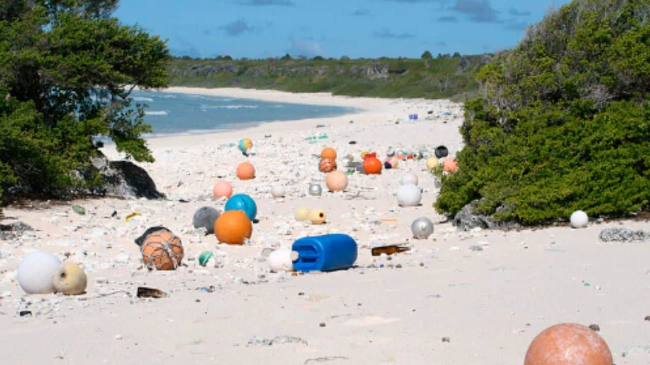 La isla paradisíaca que el plástico convirtió en un espejo del desastre ...