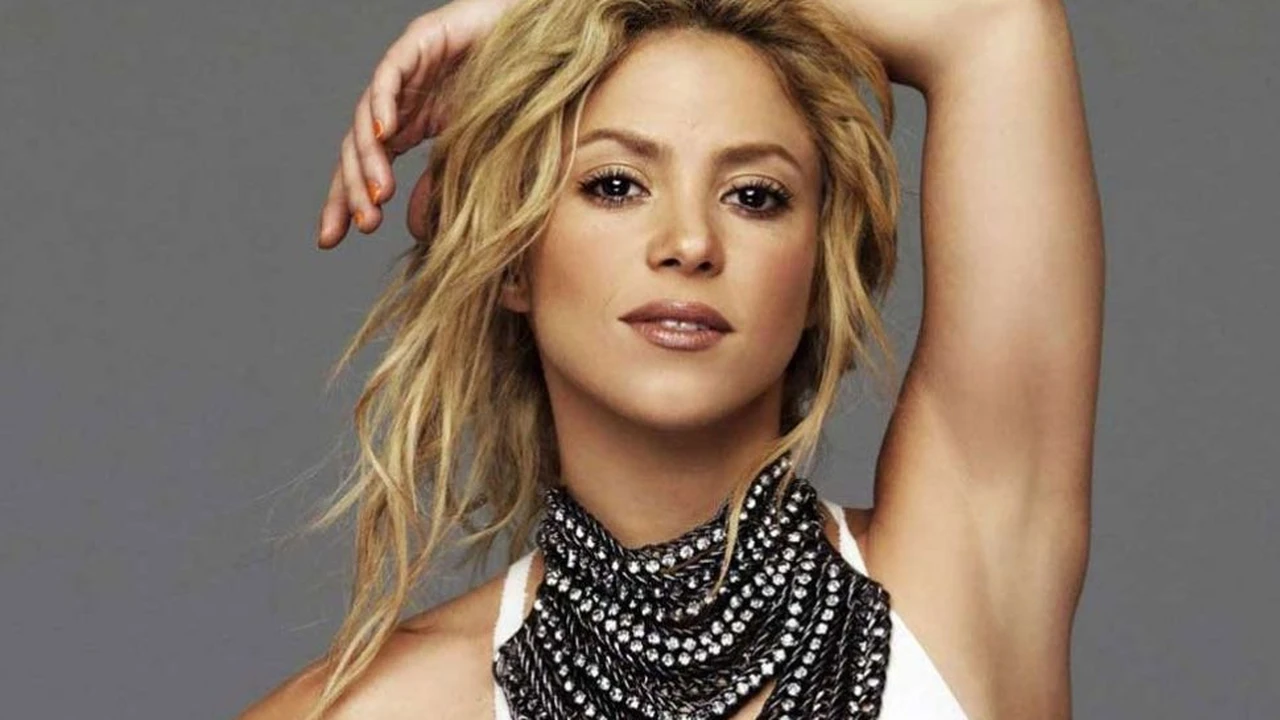 Shakira no para de facturar: cuánto cobra por un concierto privado