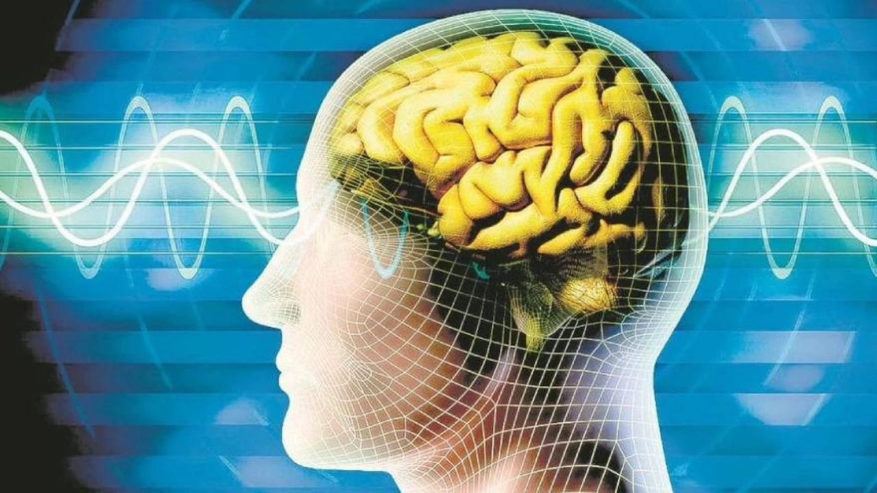 Qué tipo de inteligencia tiene cada signo del zodíaco