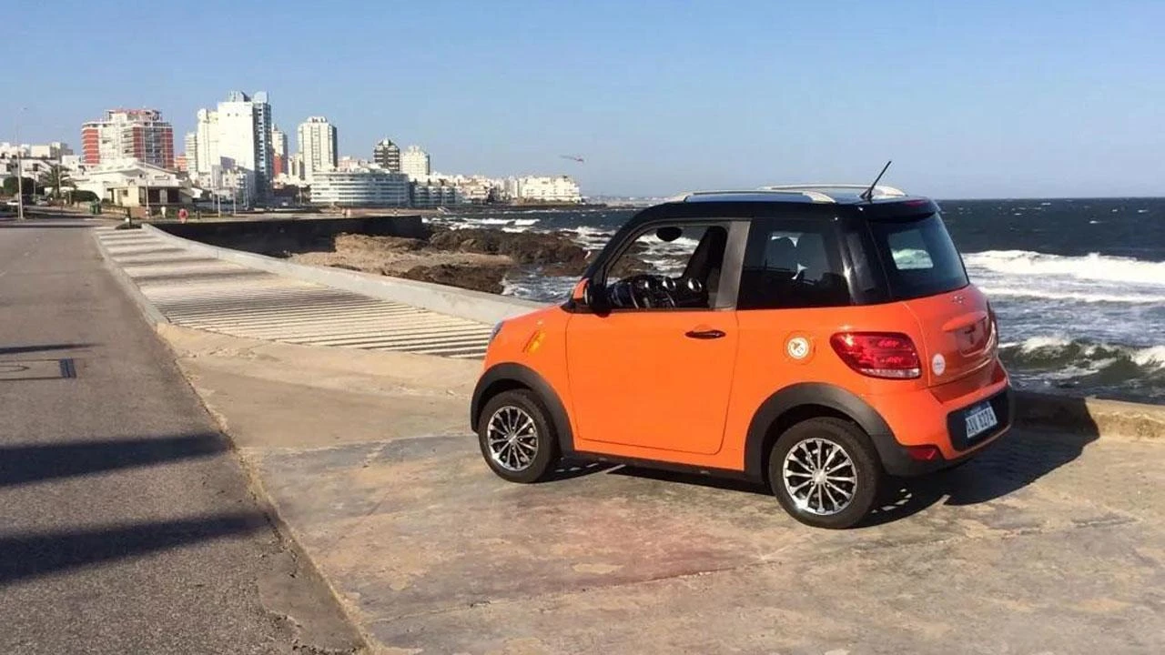 Tito: dónde comprarlo, cuánto cuesta y en qué colores viene