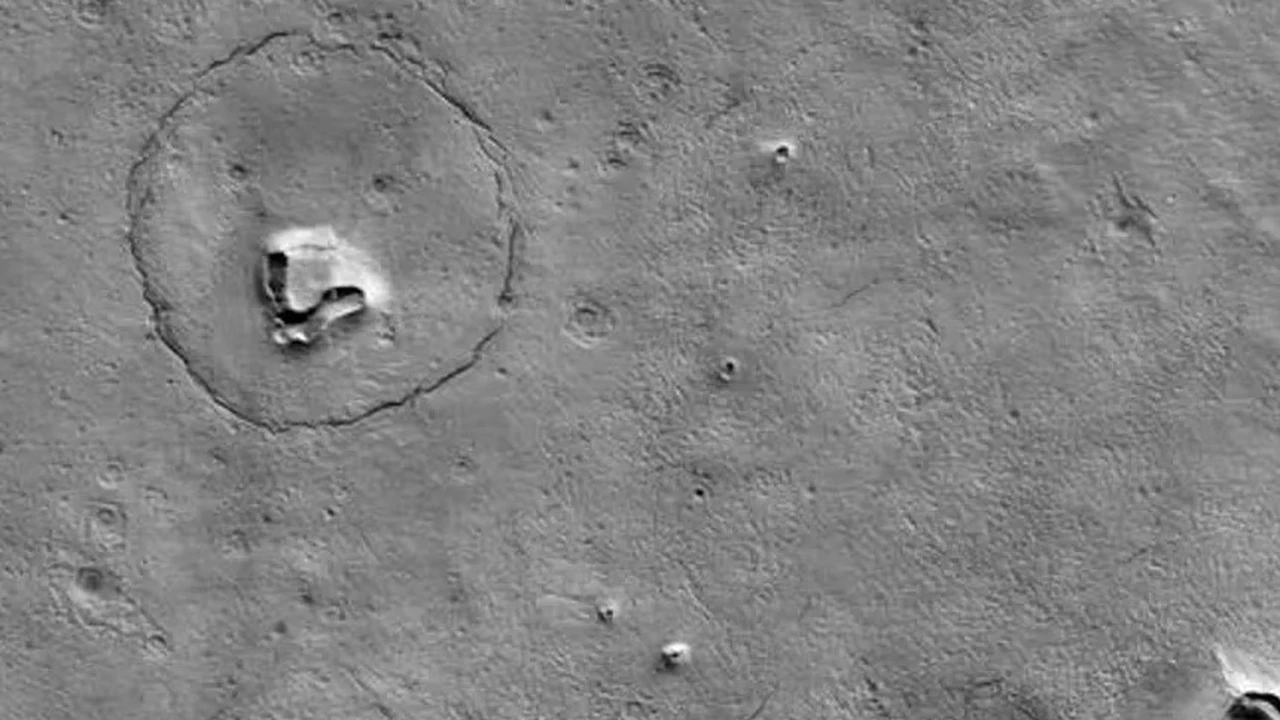 La NASA logró capturar un "oso" en la superficie de Marte
