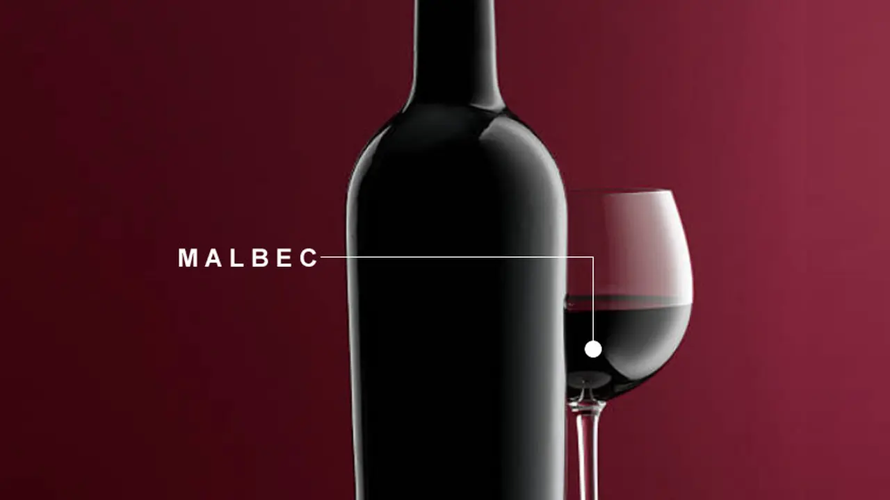 Este es el Malbec argentino que se consagró como uno de los mejores del ...
