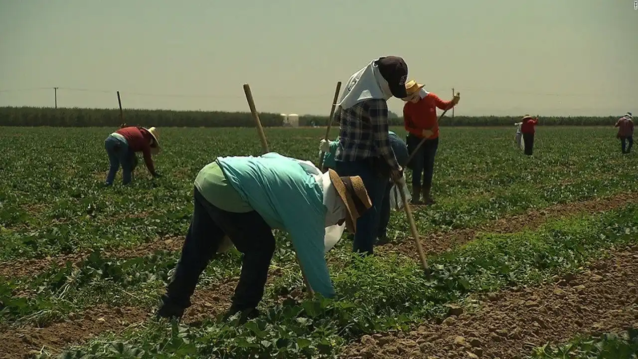Sueldo UATRE: cuánto cobrará un peón rural por lo trabajado en mayo 2026