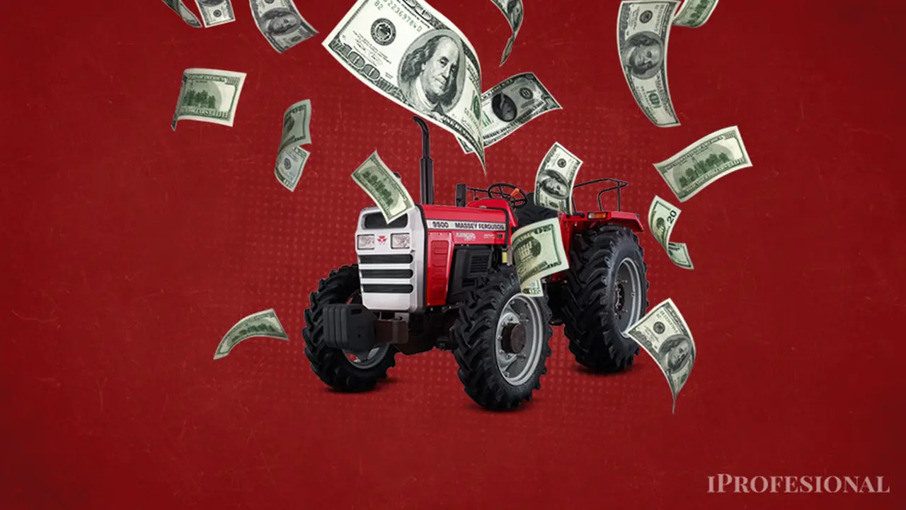 Jaque al dólar agro: nuevo "rulo de la soja" complica a Massa