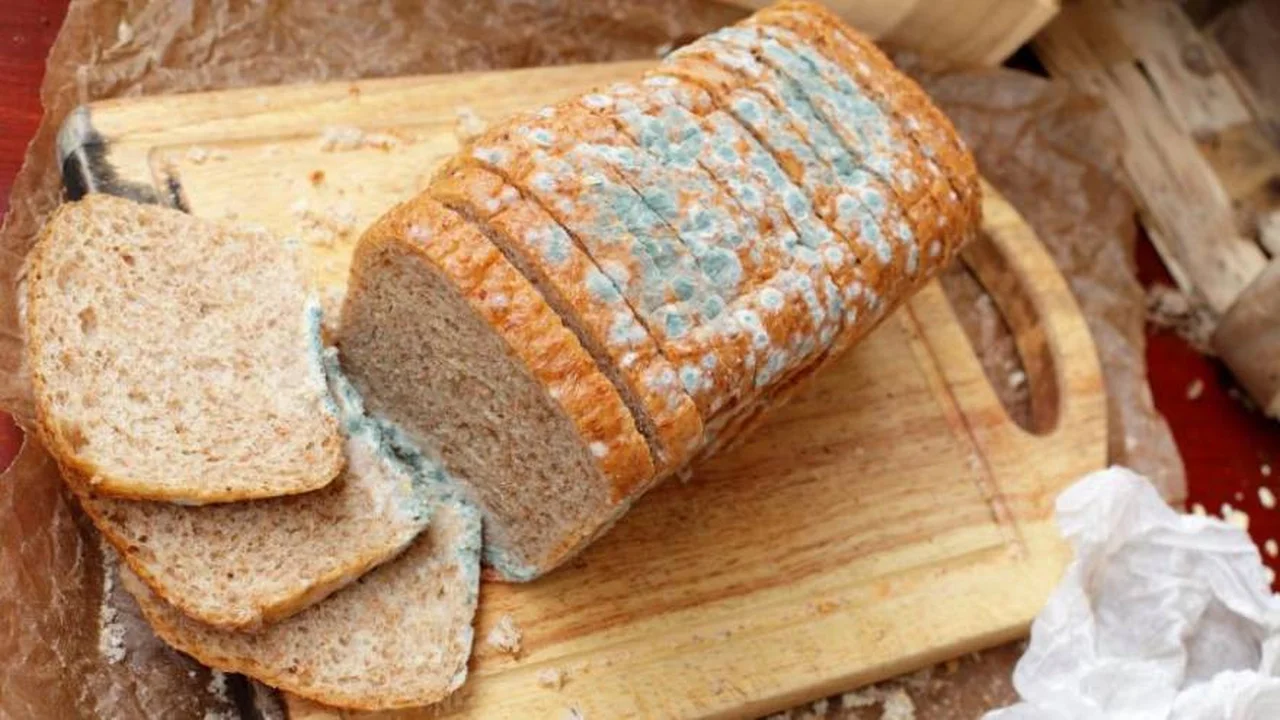Alimentos con moho: ¿puedo comerlos o no?
