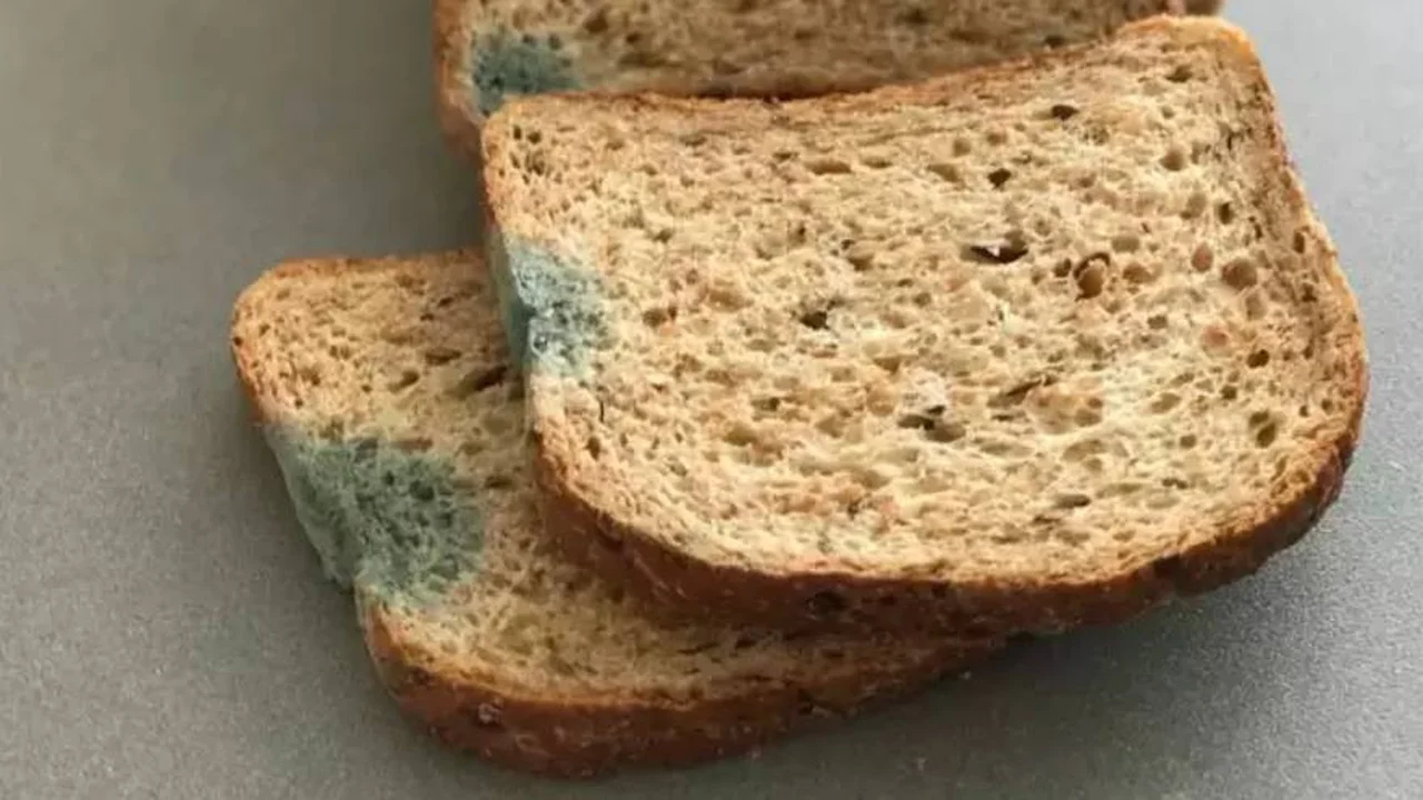 ¡Cuidado!: por qué nunca tenés que oler alimentos con moho