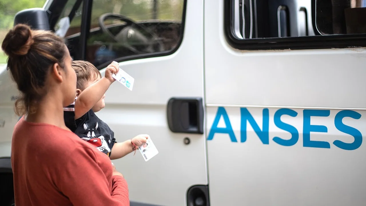 Por qué no cobré SUAF y cómo realizo el reclamo en ANSES