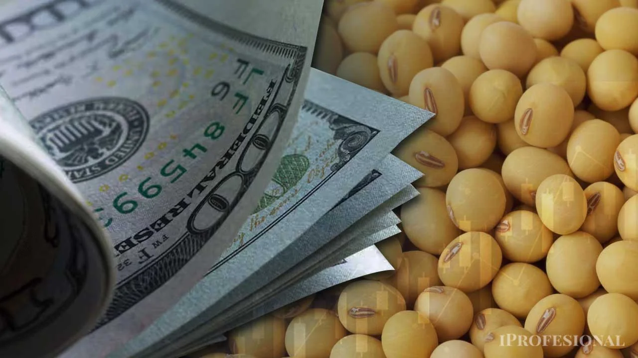 ARCA reglamentó el proceso de liquidación de divisas tras la baja de las retenciones