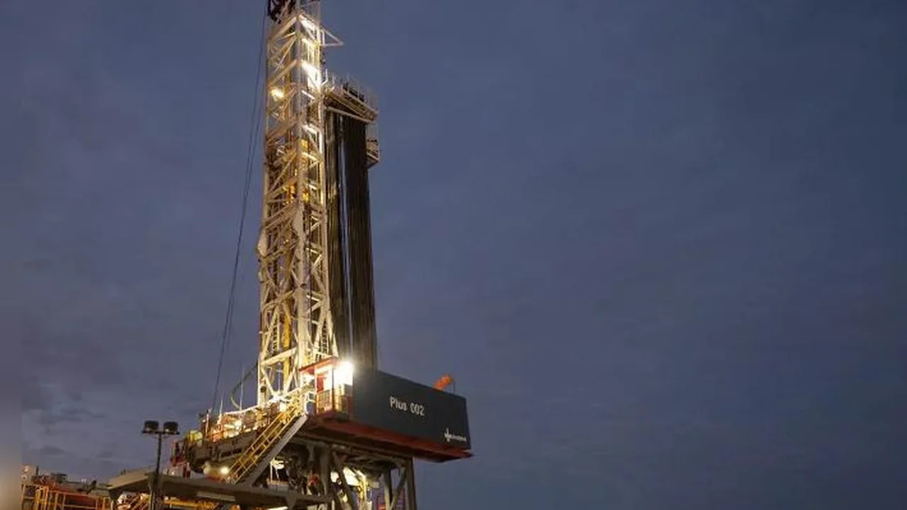 Pluspetrol apuesta a Vaca Muerta con ingresos millonarios al 2030