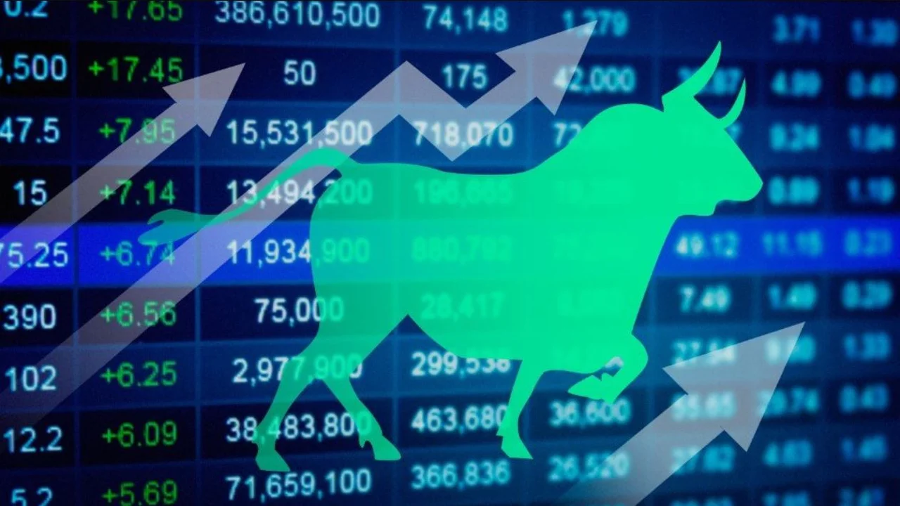 Cómo usar la plataforma de inversiones Bull Market