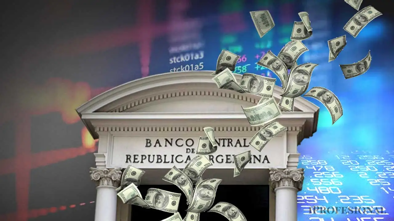 Las reservas del BCRA subieron u$s550 millones, el mayor crecimiento ...