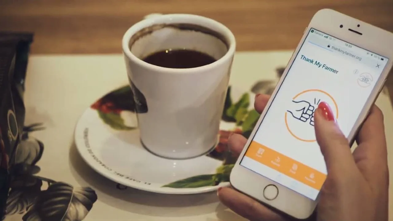 Blockchain: IBM permite conocer de dónde viene tu café