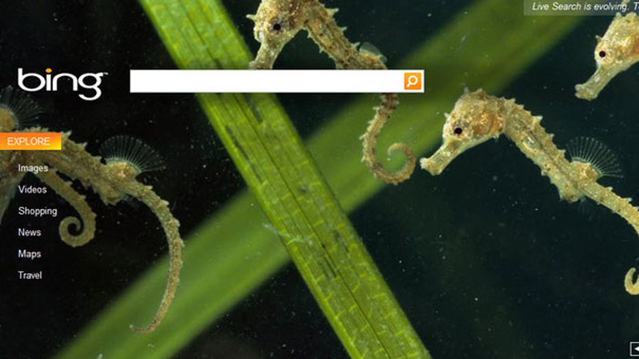 Microsoft presenta Bing, su nuevo buscador en Internet