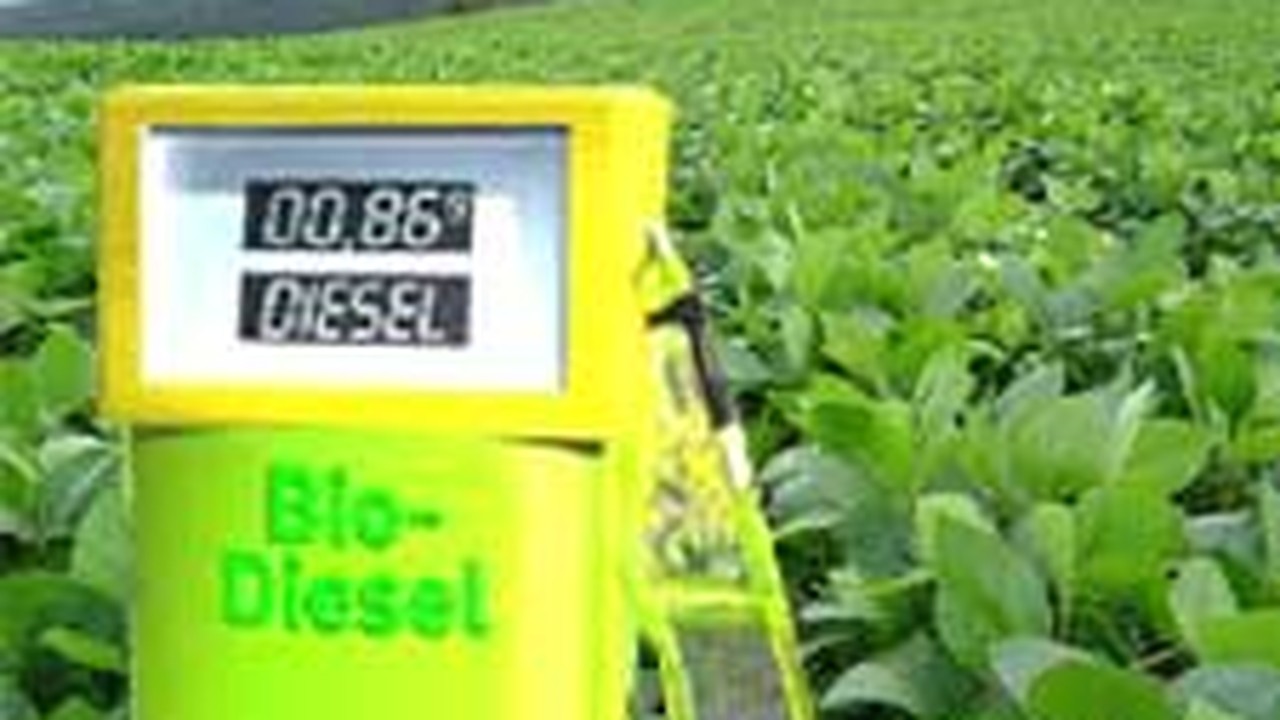 Inauguran la primera planta de biodiesel basada en colza